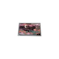 China Original 8.4 inch 800*600 AM-800600M3TNQW-00H-B 262K TFT-LCD screen for sale
