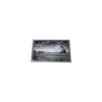 China AM-800600M3TNQW-01H-F 8.4 inch 800*600 TFT-LCD Industrial screen for sale