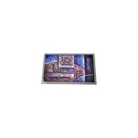 China 8.0 inch AM-800600P1TMQW-A1H LVDS 20 pins TFT LCD screen Display for sale