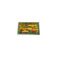 China Hot Sell 8.0 inch AM-800600P4TMQW-B0H-E TFT LCD screen Monitor for sale
