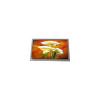 China NEW 8.0 inch AM-800600P5TMQW-B1H TFT 262K 40 pins LCD screen Module for sale