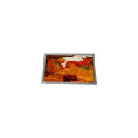 China 800*600 AM-800600P6TMQW-B0H 8.0 inch 40 pins LCD Screen Module for sale