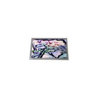 China AM-800600P6TMQW-TA7H 800*600 8.0 inch Touch LCD Industrial Screen for sale