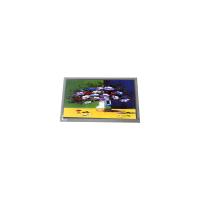 China Original 12.1 inch AM-800600TTMQW-00H 300 cd/m2 LCD Screen Parts for sale