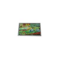 China AM-1024600DTZQW-TDDH-A 1024*600 7.0 inch LCD Module Screen Industrial for sale