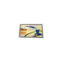 China Hot Sell 7.0 inch AM-1024600E1TMQW-TA0 TFT LCD Module Display for sale