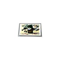 China 7.0 inch AM-1024600ETMQW-00 TFT LCD Module FOR Digital Photo Frame for sale