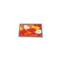 China 7.0 inch AM-1024600K1TMQW-T00H TFT LCD Screen Panel Display for sale