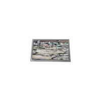 China AM-1024600K3TMQW-19H 7.0 inch 16.7M TFT LCD Screen Industrial for sale