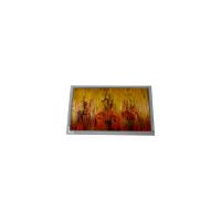 China AM-1024600K7TMQW-T61H 1024*600 TFT 20 pins LCD Screen for Industrial for sale