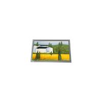 China Original 10.1 inch 1024*600 AM-1024600L2TMQW-00H LCD Screen Parts for sale
