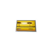 China new 10.1 inch AM-1024600L2TMQW-71H 1024*600 262K LCD Screen for sale