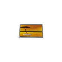 China AM-1024600L2TMQW-T03H 10.1 inch PCAP LCD Industrial Screen for sale