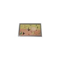 China AM-1024600L3TMQW-00H 10.1 inch TFT WLED LCD Screen Panel Display for sale