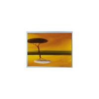 China 10.1inch AM-1024600L7HMQW-T56H-A 1024*600 TFT LCD Screen Industrial for sale