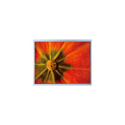 China Original 1024*600  AM-1024600LTMQW-T05H-A TFT LCD Screen for sale