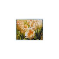 China 9.0 inch 1024*600 AM-1024600Y2TZQW-A0H TFT 1200 cd/m2 LCD Screen Panel for sale