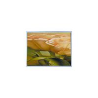 China AM-1024600Y3TZQW-A0H 9.0 inch TFT LCD Screen Panel Industrial for sale