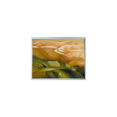 China AM-1024600Y3TZQW-A0H 9.0 inch TFT LCD Screen Panel Industrial for sale