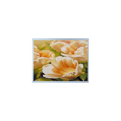 China 1024*600 AM-1024600Y3TZQW-A1H 9.0 inch TFT 300 cd/m2 LCD Screen Parts for sale