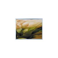 China AM-1024600YTZQW-00H 1024*600 9.0 inch TFT 500 cd/m2  LCD Screen Panel for sale