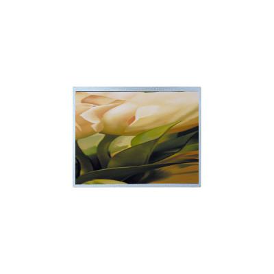 China AM-1024600YTZQW-00H 1024*600 9.0 inch TFT 500 cd/m2  LCD Screen Panel for sale