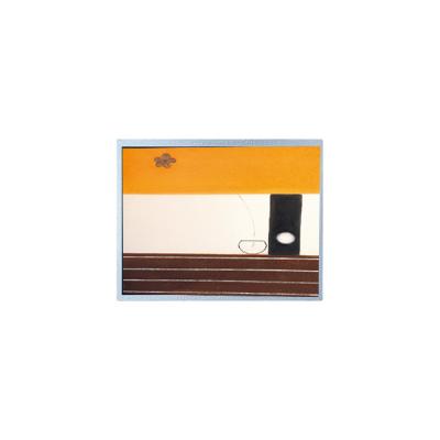 China 1024*768 AM-1024768GTMQW-00H 12.1 inch TFT 16.2M LCD Screen monitor for sale