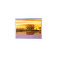 China AM-1024768J2TZQW-00H 8.0 inch TFT LCD Screen for Outdoor High Brightness for sale