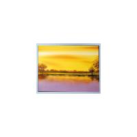 China 1024*768 AM-1024768J2TZQW-T00H  8.0 inch TFT PCAP LCD Screen Parts for sale