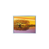 China AM-1024768J3TRQW-A0 1024*768  8.0 inch TFT LCD Screen Display Panel for sale