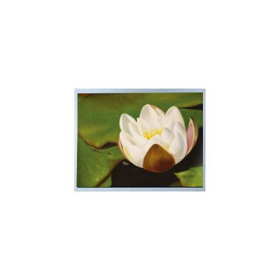 China AM-1024768M2TMQW-T06H 1024*768 10.4 inch PCAP TFT LCD Screen Parts for sale
