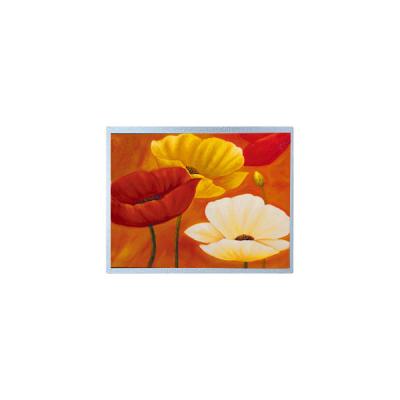 China AM-1024768QTMQW-00H 15.0 inch 1024*768 20 pins TFT LCD Screen Panel for sale