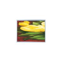 China Hot Sell 12.1 inch AM-1024768R2TNQW-T00H 1024*768 TFT LCD Screen for sale