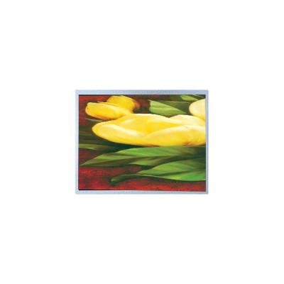China Hot Sell 12.1 inch AM-1024768R2TNQW-T00H 1024*768 TFT LCD Screen for sale