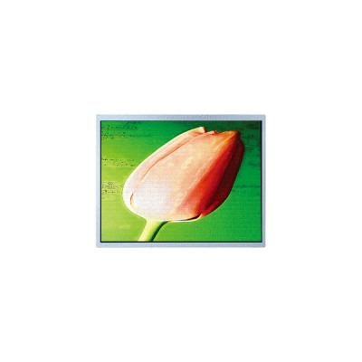 China Original 10.4 inch AM-1024768T1TMQW-T00H TFT 262K LCD Screen Display for sale