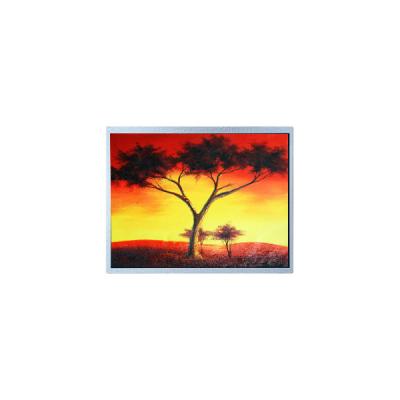 China AM-1024768Z6TZQW-00H 1024*768 12.1 inch 1300 cd/m2 TFT LCD Screen for sale