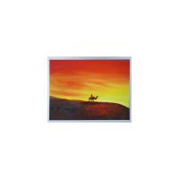 China NEW 1024*768 AM-1024768ZTZQW-00H 12.1 inch TFT LCD Screen Module for sale