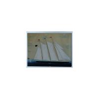 China Hot Sell 10.1 inch AM-1280800J4TZQW-T00 TFT LCD Screen for Industrial for sale