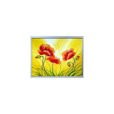 China AM-1280800W2TZQW-00H 10.1 inch LCD Screen for Outdoor High Brightness for sale