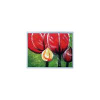 China AM-1920360ATZQW-00 19.1 inch LCD Screen for Outdoor High Brightness for sale