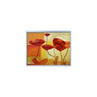 China 1280*1024 19.0 inch AM-12801024DTZQW-00 1000:1 LCD Screen Panel for sale