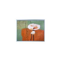 China 15.5 inch AM-19201080F1TZQW-A0 LCD Screen Panel FOR Outdoor High Brightness for sale