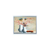 China AM-19201200B1TZQW-00 1920*1200 10.1 inch LVDS LCD Screen module for sale