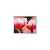 China Hot Sell 1920*1200 10.1 inch AM-19201200B1TZQW-01-B LCD Screen Panel for sale