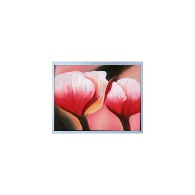 China Hot Sell 1920*1200 10.1 inch AM-19201200B1TZQW-01-B LCD Screen Panel for sale