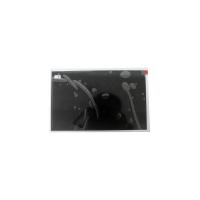 China AM-19201200GTZQW-30H 10.1 inch 1000 cd/m2 LCD Screen for AMPIRE for sale