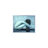 China AM-19201200GTZQW-30H 10.1 inch 1000 cd/m2 LCD Screen for AMPIRE for sale