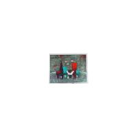 China DMF682ANF 5.3 inch 256*128 70Hz LCD Screen Panel for sale