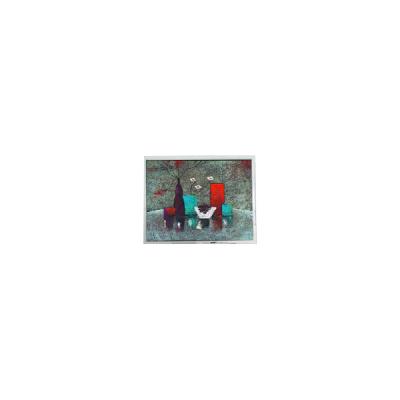 China DMF682ANF 5.3 inch 256*128 70Hz LCD Screen Panel for sale