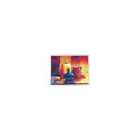 China DMF682ANY-EB 5.3 inch 256*128 16 pins LCD monitor Screen Panel for sale